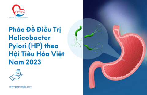 Phác Đồ Điều Trị Helicobacter Pylori (HP) theo Hội Tiêu Hóa Việt Nam ...