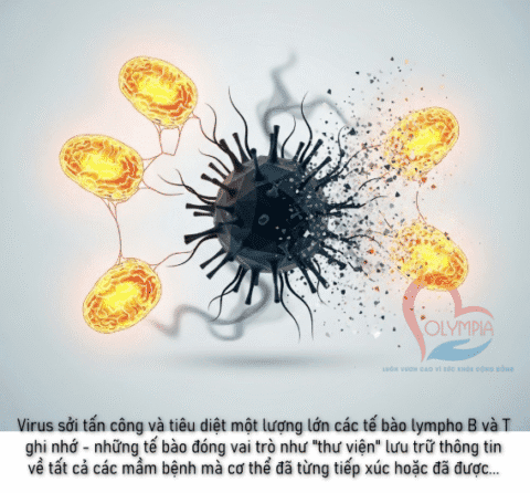 Bệnh Sởi 2025 - Toàn Cảnh Về Dấu Hiệu, Biến Chứng Nguy Hiểm và Hướng ...